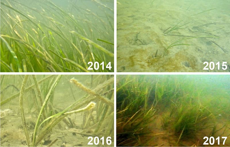 Call for papers: Limnology and Oceanography Special Issue on Nonlinear ...