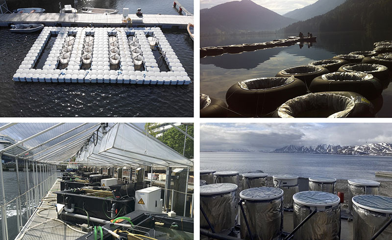 L&O Special Issue - Mesocosms: bridging the gap between in-situ and ...