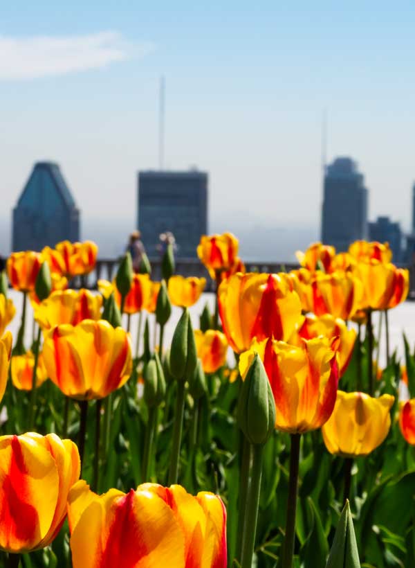 About Montréal - ASLO